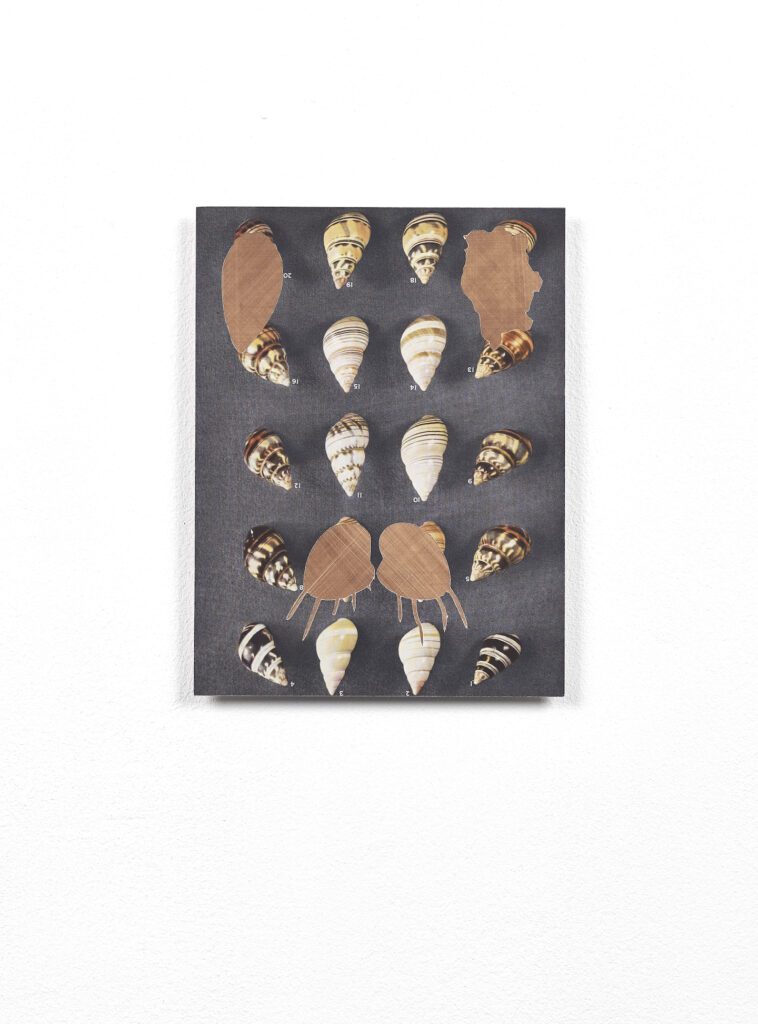 ARTICLE : THE CONDUIT - Paul Merrick